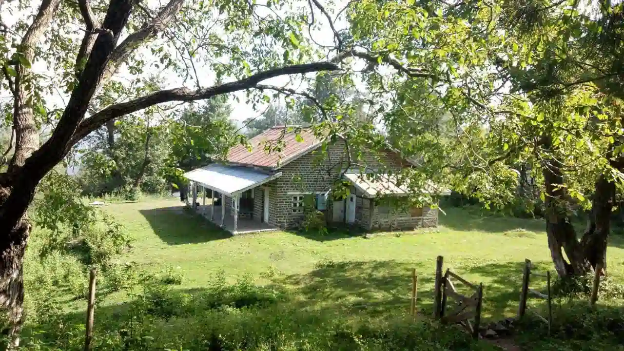 A Hiking Guide to Miranjani Top for Trekkers